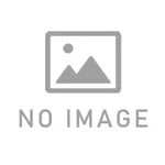 OUELLET KIT-OFM-R-600, Single-Pole Relay, Coil 24V, without Transforme ...